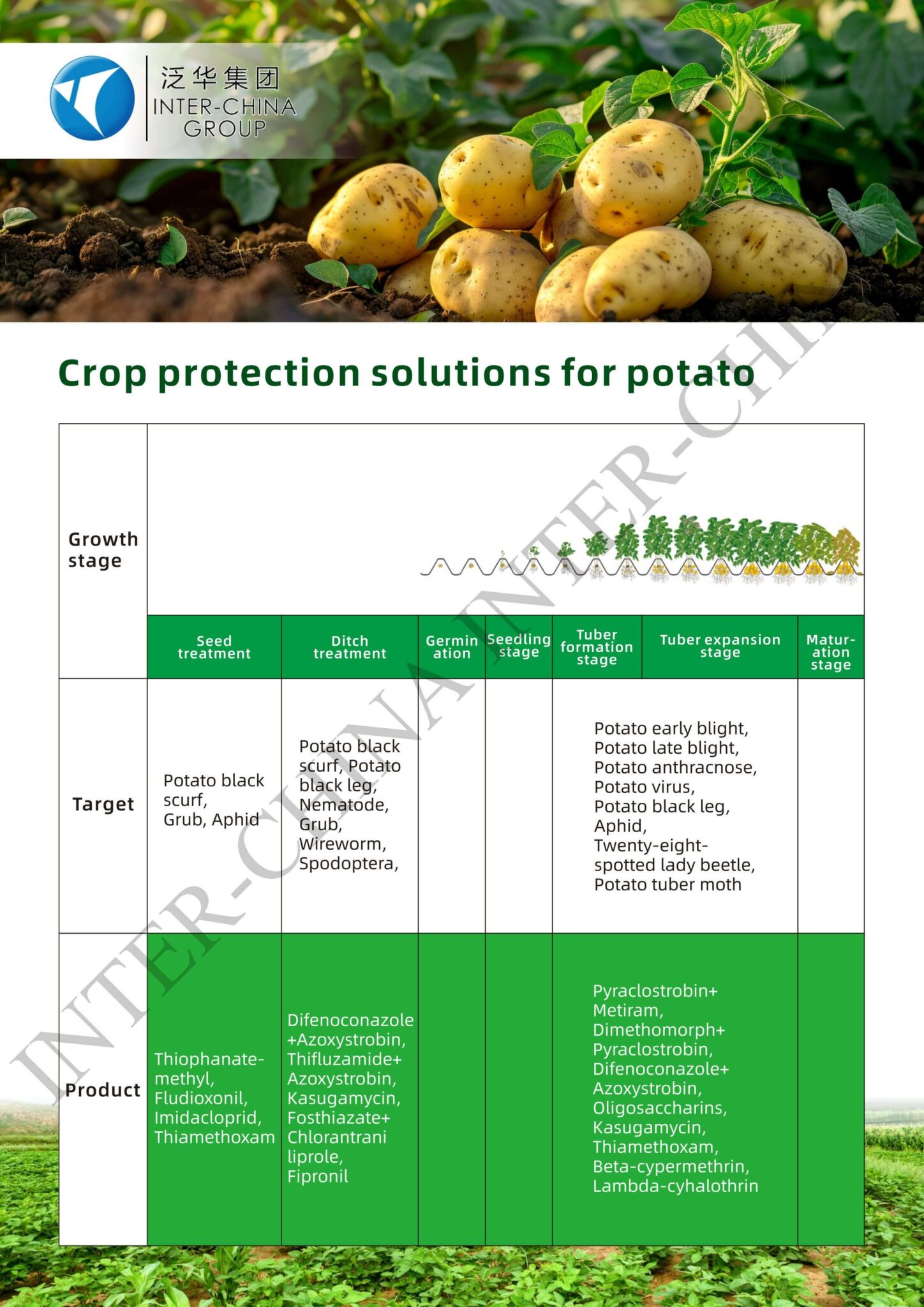 Potato Solution - icagrotech