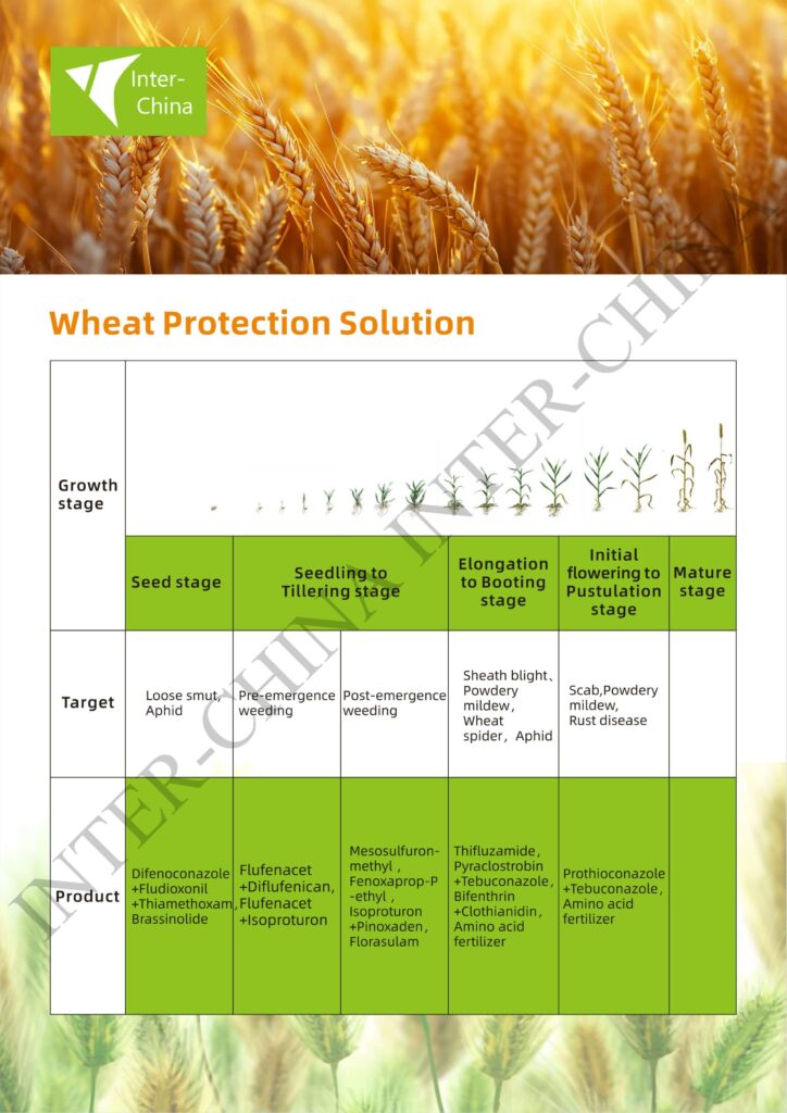 Wheat Solution - icagrotech